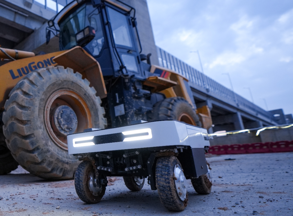 Images in detailed pictures