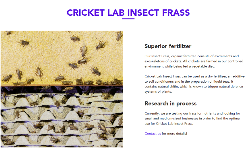 Images in detailed pictures